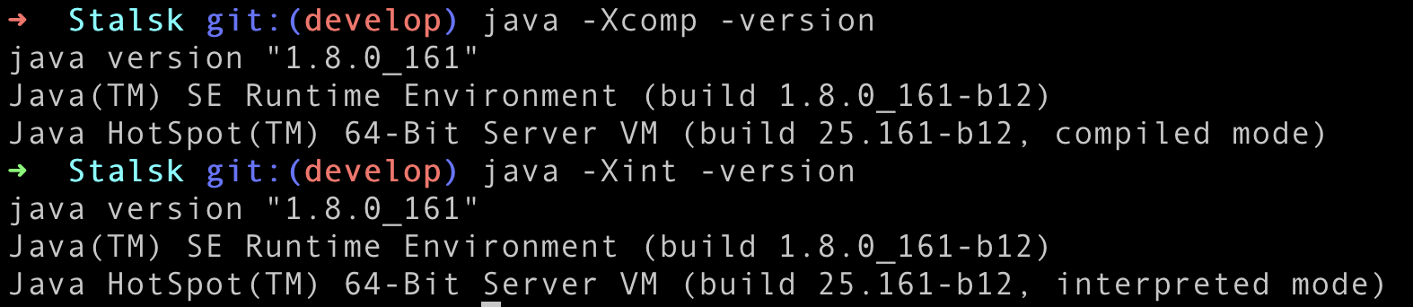 Java 与 JIT | LOST HOME